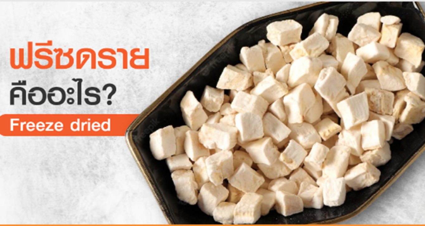 What is freeze-dried? – Sunshine International Co., Ltd